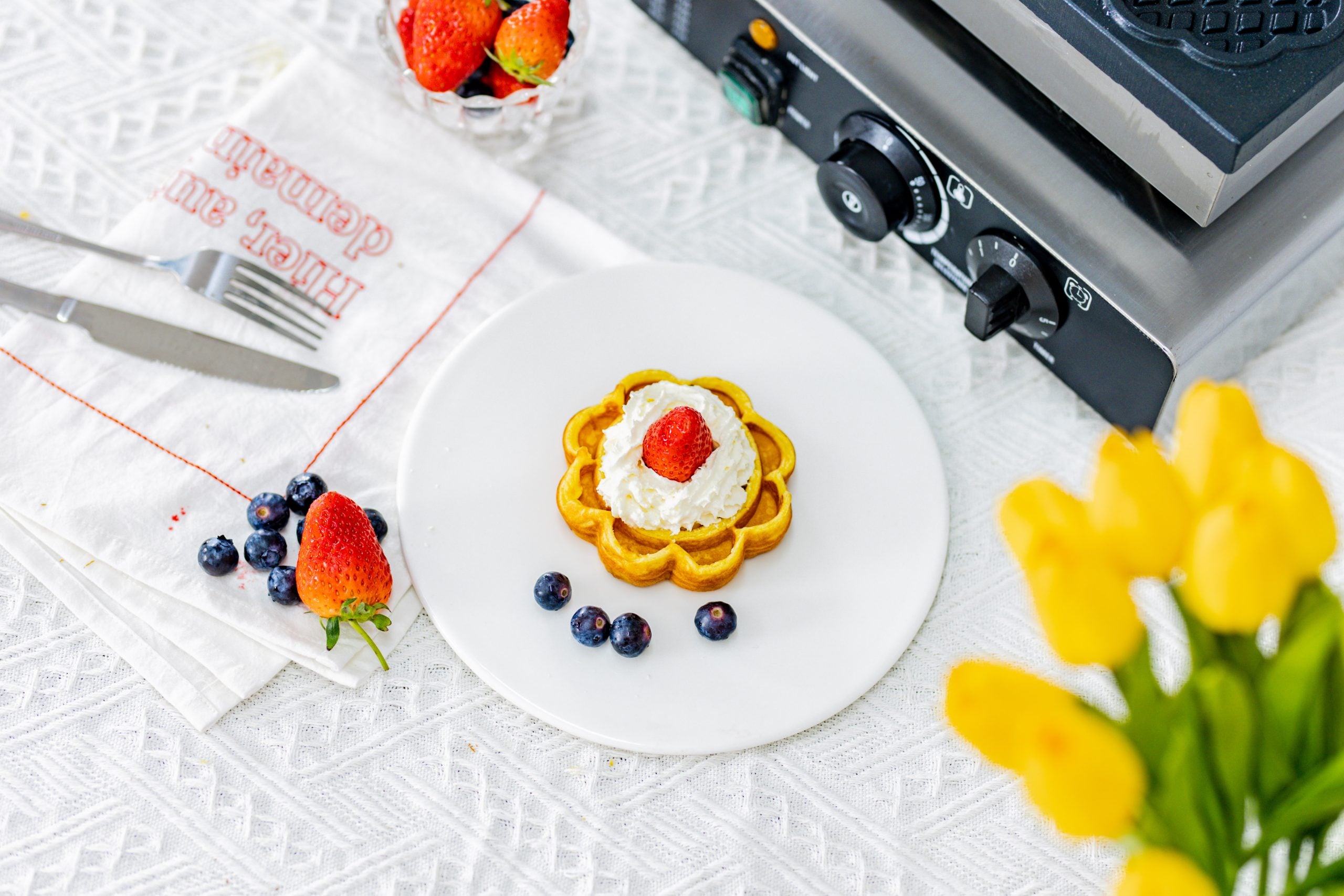 Ten Rolls On a Sticker Vertical Egg Roll Cooker Maker TT-EM10