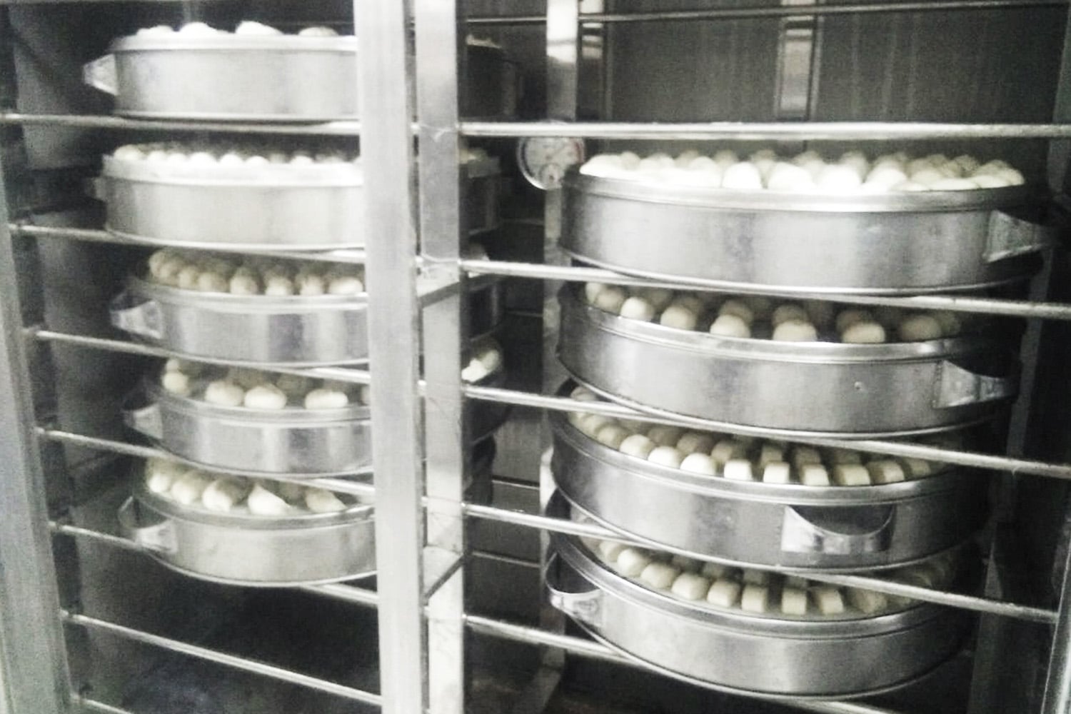 20 Trays Mechanic Control Steamed Buns Kitchen Proofer TT-O20L